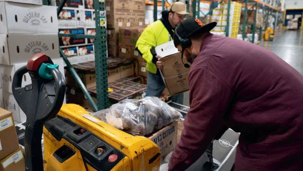 veritable vegetable careers